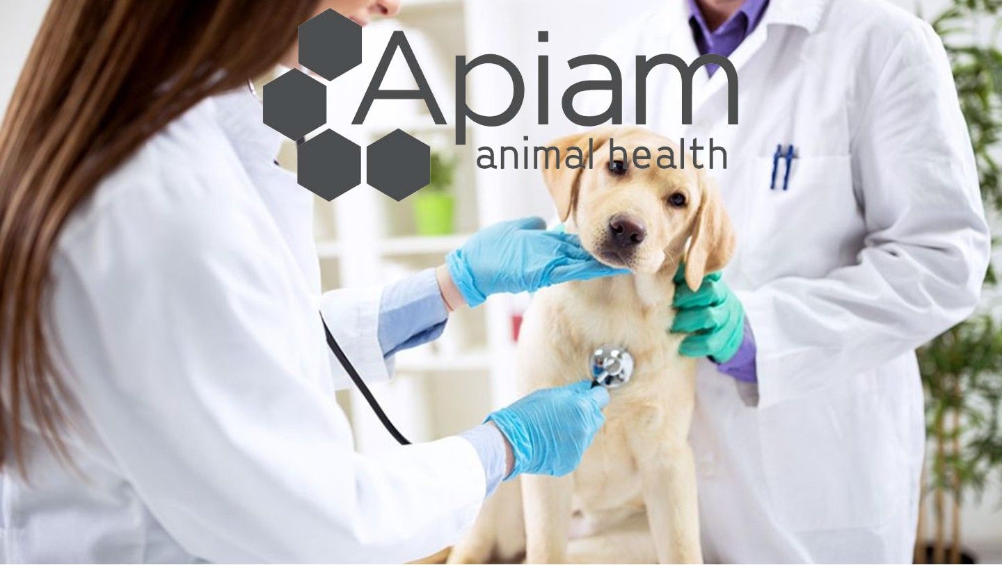 Apiam Animal Health Limited Acquires Leading Vet Clinic in Major ...