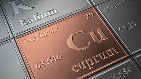xxix copper